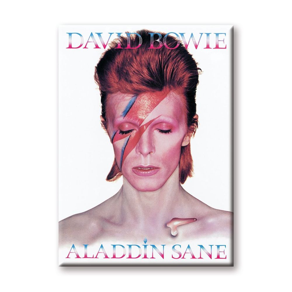 שלישיית מגנטים david bowie- Aladdin sane | I.SHOOKA